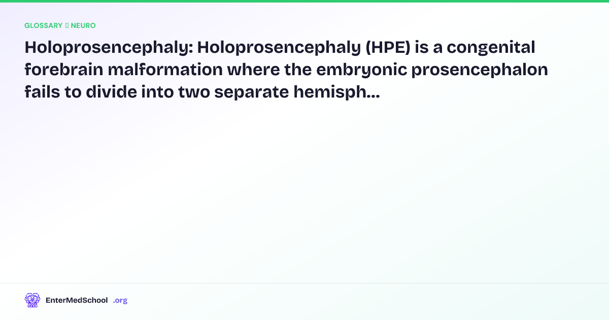 Holoprosencephaly (HPE) — Definition, Diagnosis & Differentials ...