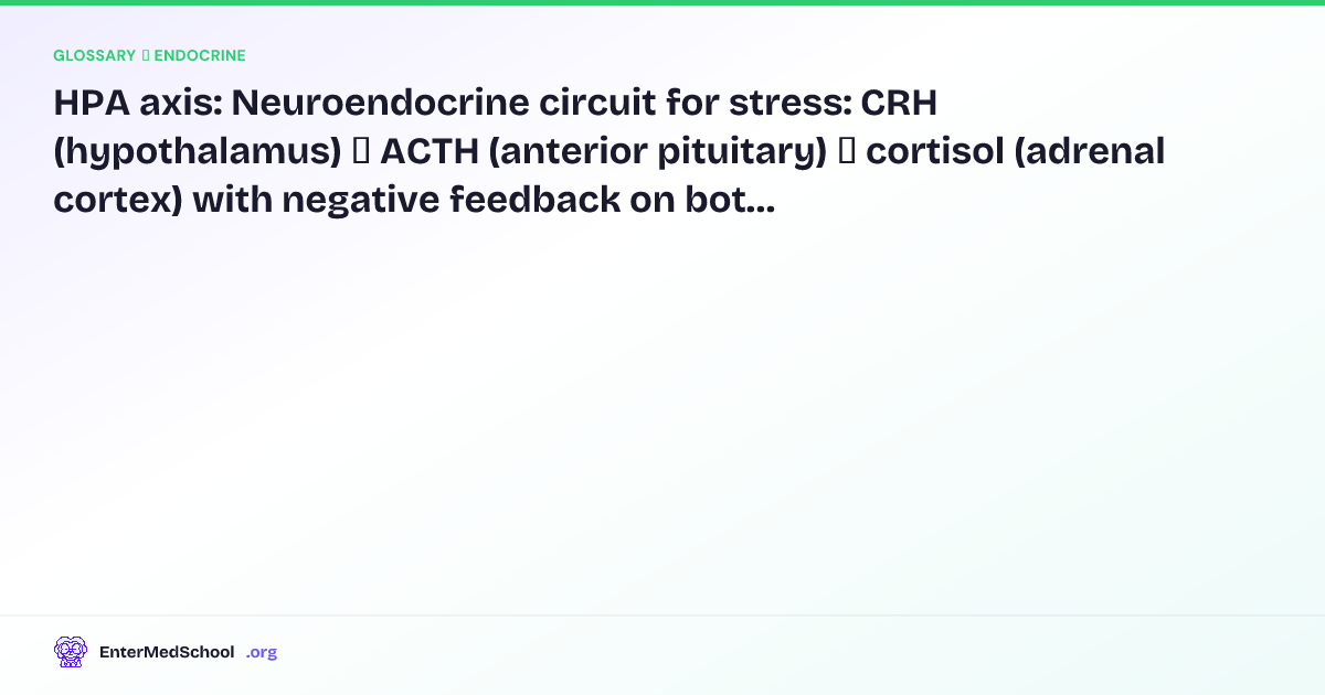 HPA axis (HPA) — Definition, Causes & Treatment | EnterMedSchool ...