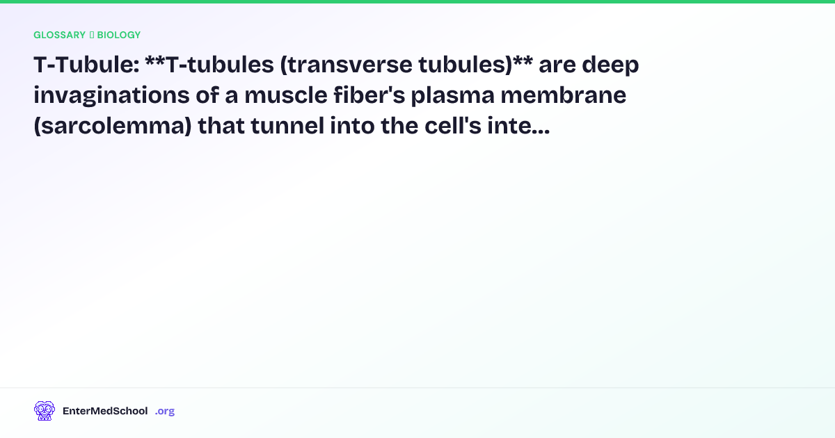 T-Tubule — Definition & Key Concepts for Medical Students ...